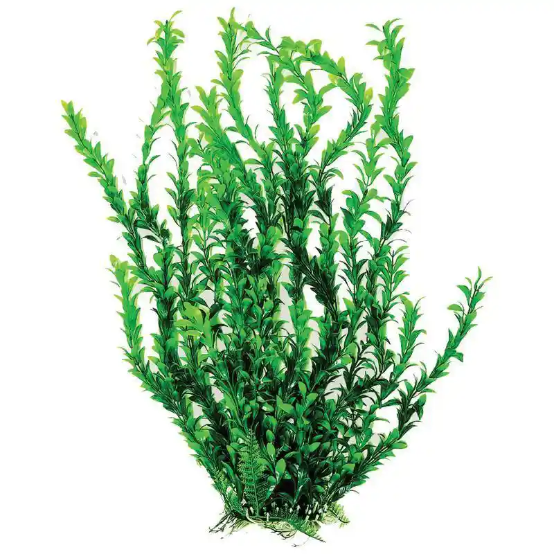 Plant Hygro Green 26"